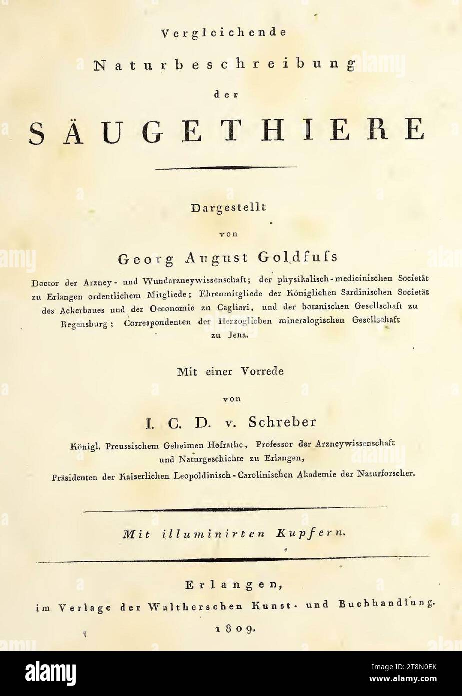Vergleichende Naturbeschreibung der Säugethiere - Goldfuss, 1809 (title ...