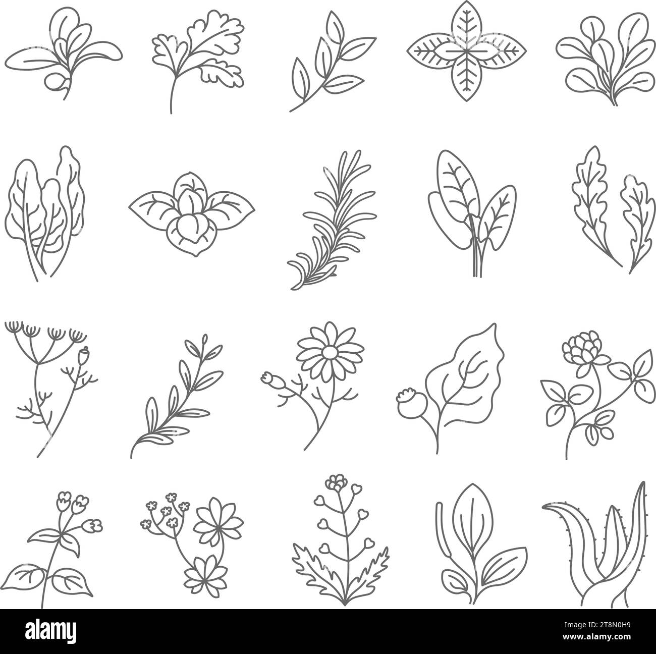 Floral design minimalist abstract flowers and foliage Black and White ...