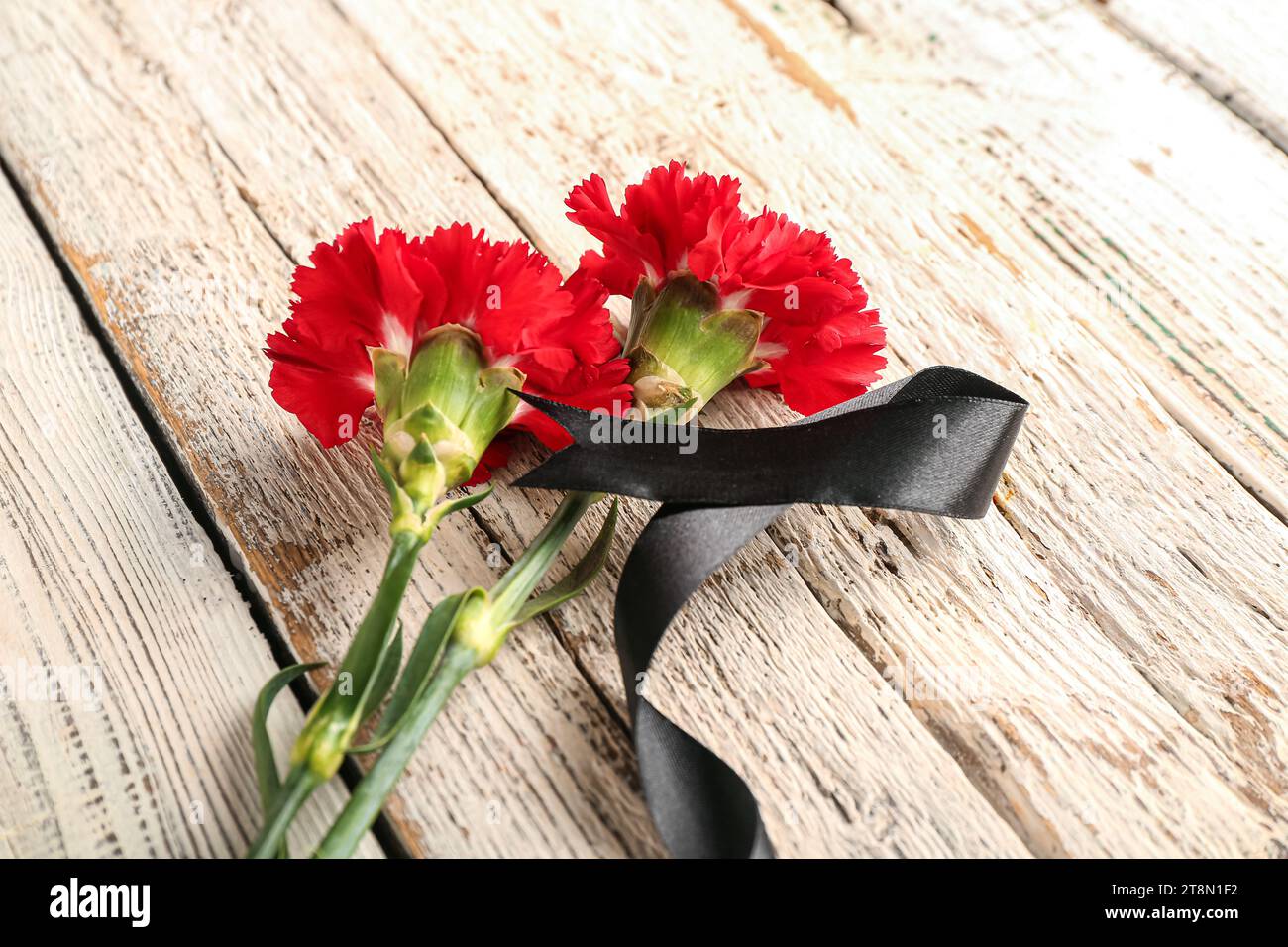 Beautiful carnation flowers with black funeral ribbon on white wooden ...