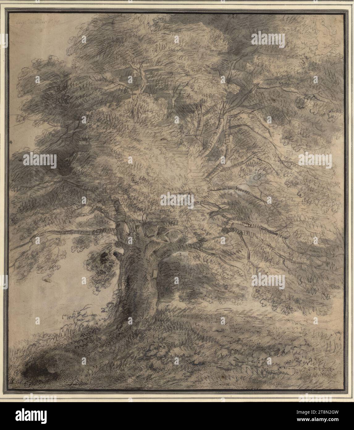 36 8 x 32 7 cm hi-res stock photography and images - Alamy