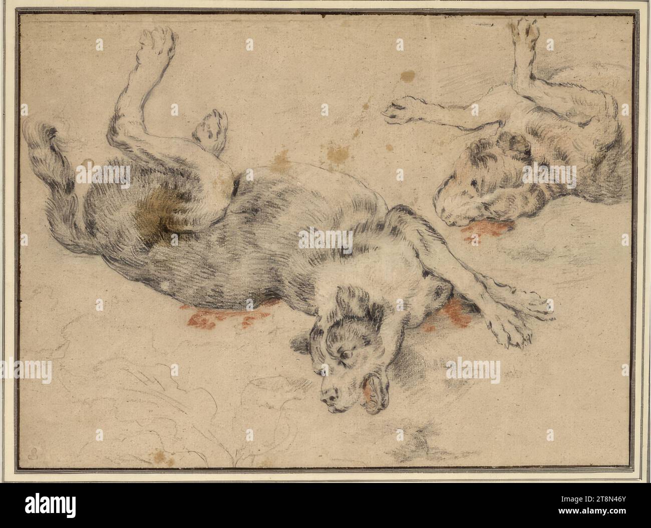 1657 antwerp hi-res stock photography and images - Alamy