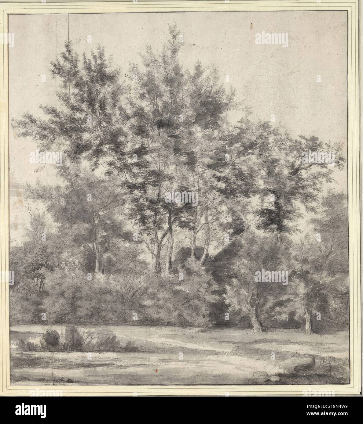 Forest section with meadow, drawing, black chalk and brush in grey ...