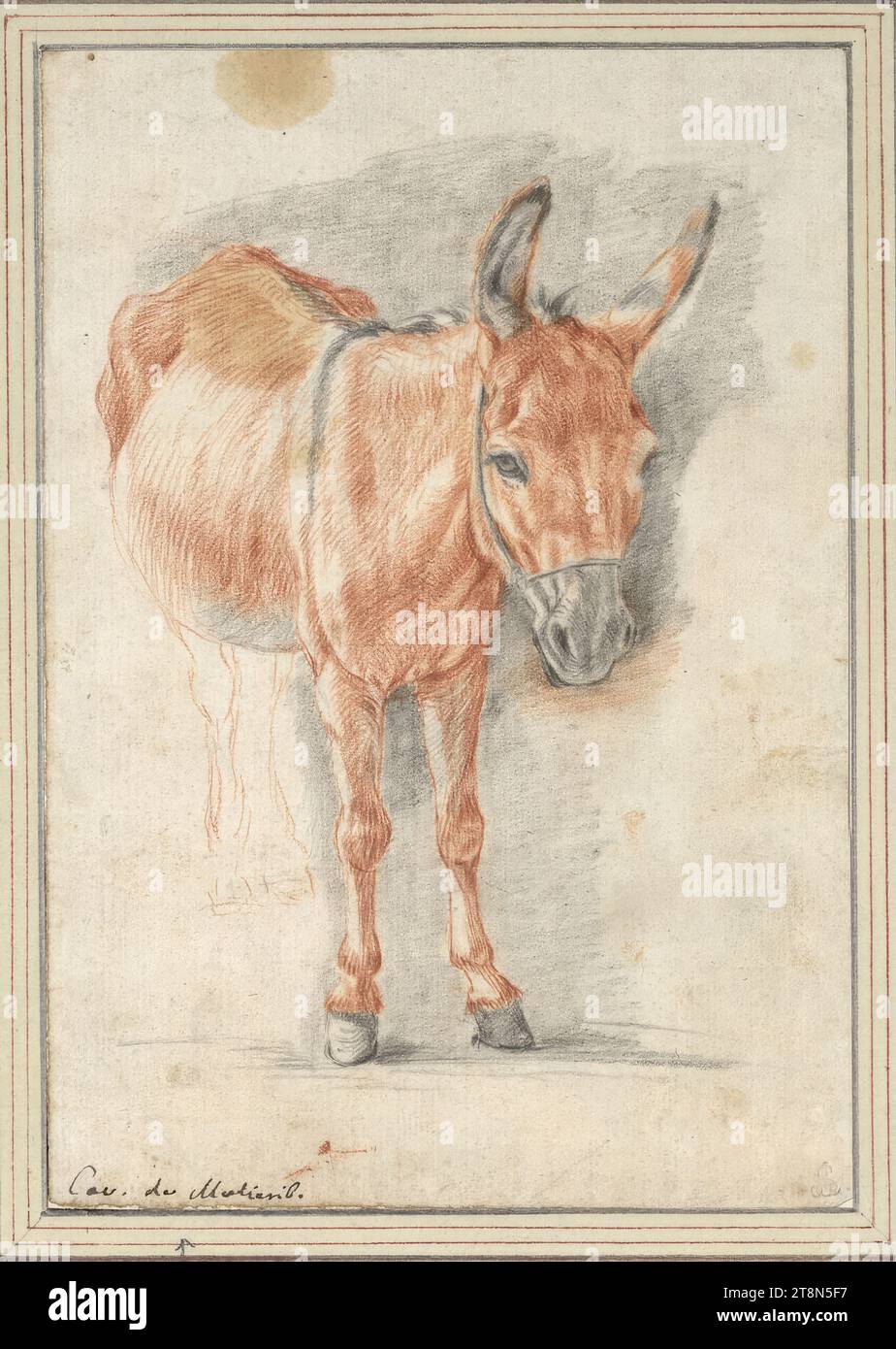 A Standing Donkey, Pieter Mulier the Younger (Haarlem c. 1637–1701 ...