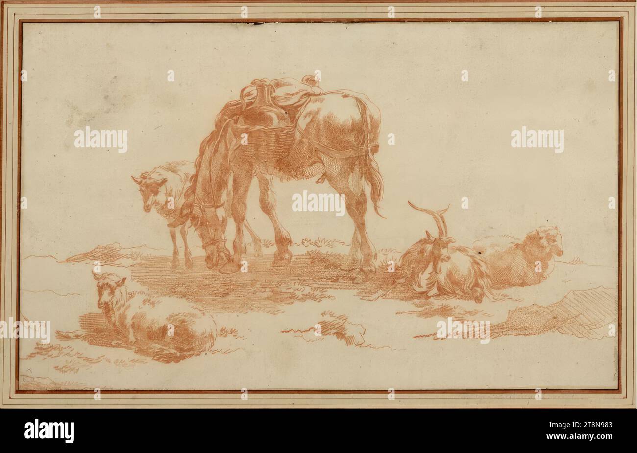 Grazing mule, loaded with jugs, as well as three sheep and a billy goat ...