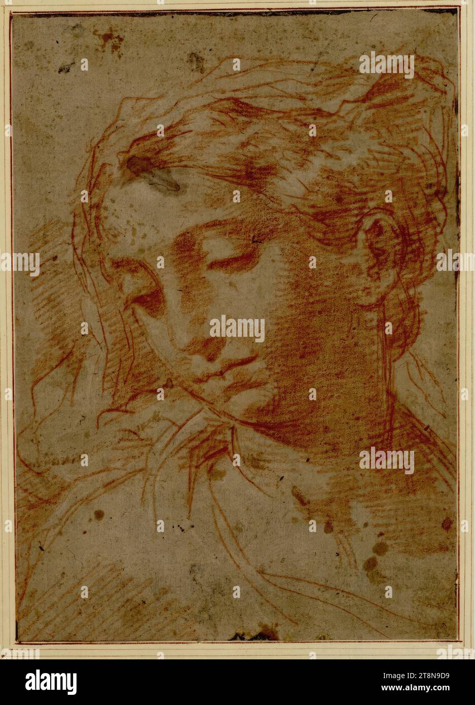 Female Head Looking Down Left, Anonymous, Bolognese, Drawing, red chalk ...