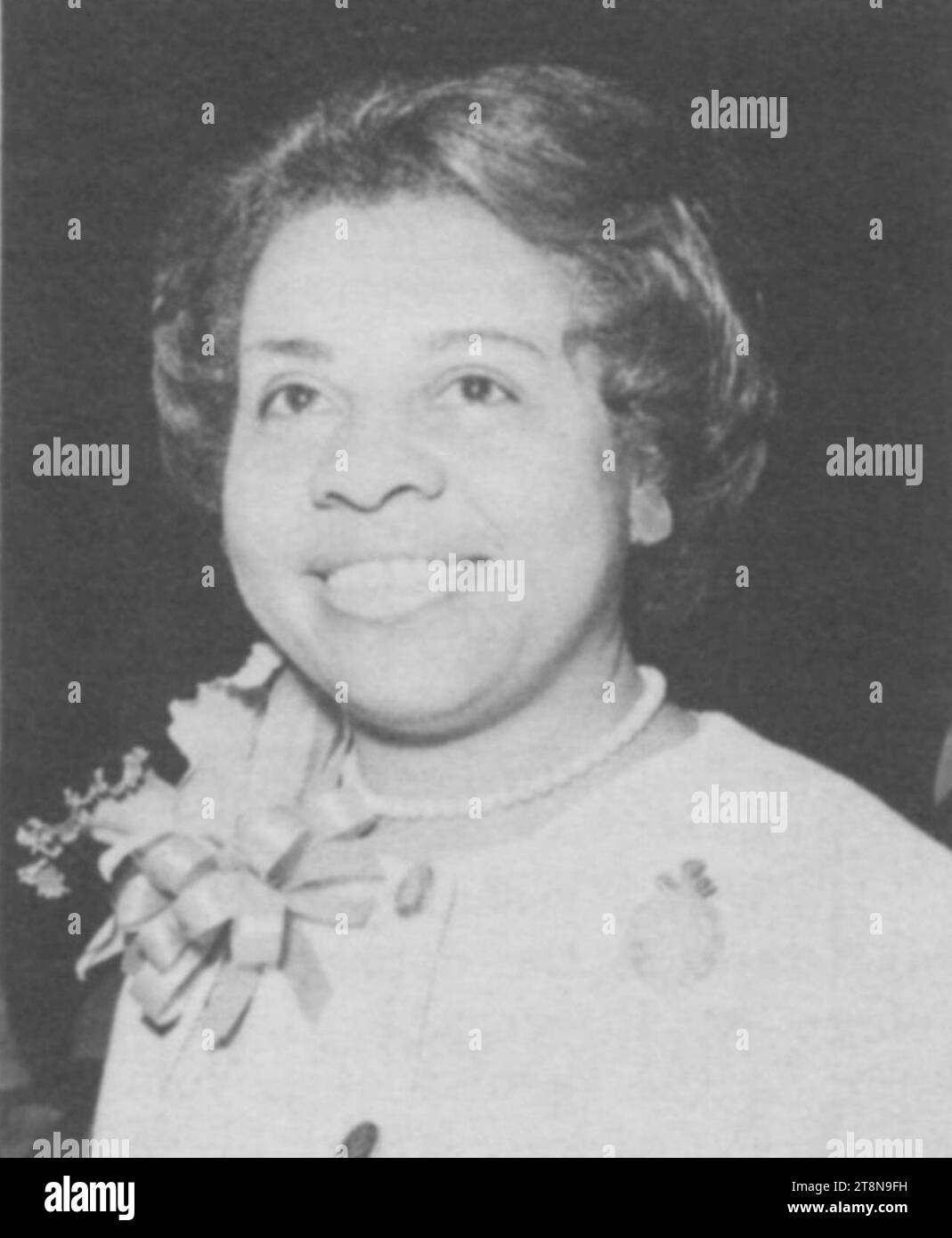 Vernice hi-res stock photography and images - Alamy