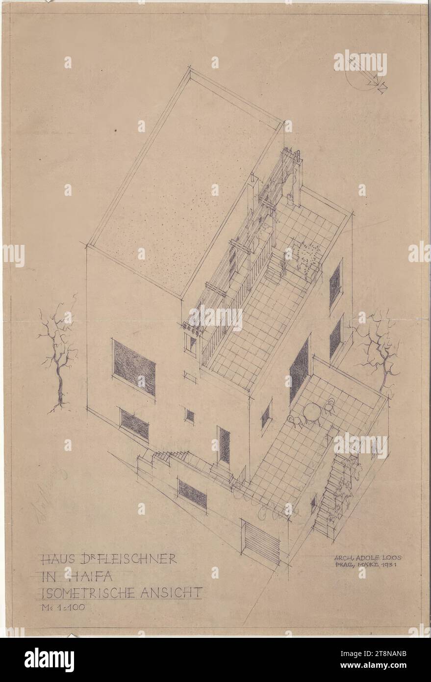 villa dr medical Josef Fleischner, West Carmel, parcel no. 323, near Haifa, Israel, isometric ...