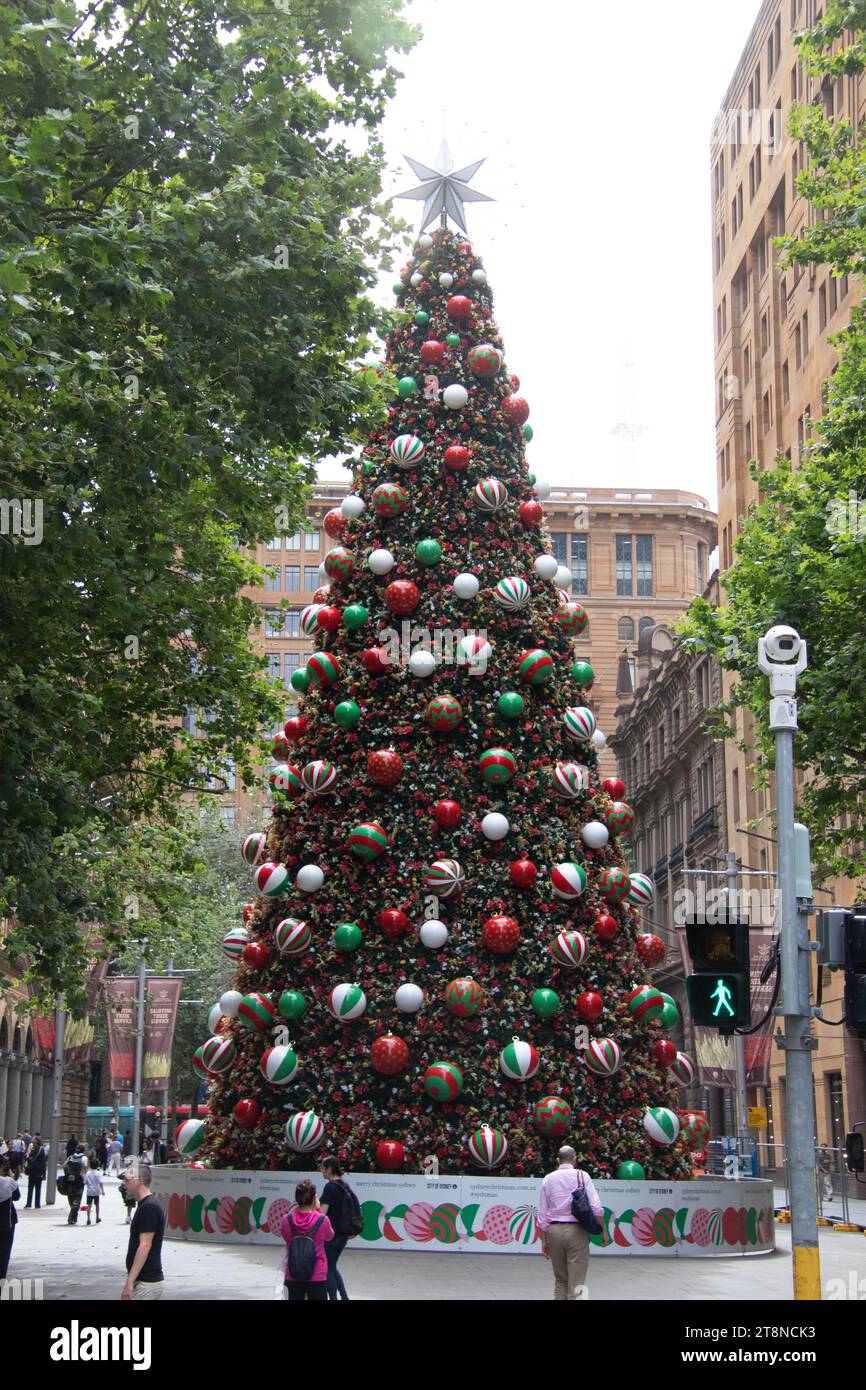 Sydney, Australia. 20th November 2023. The giant Christmas tree has ...