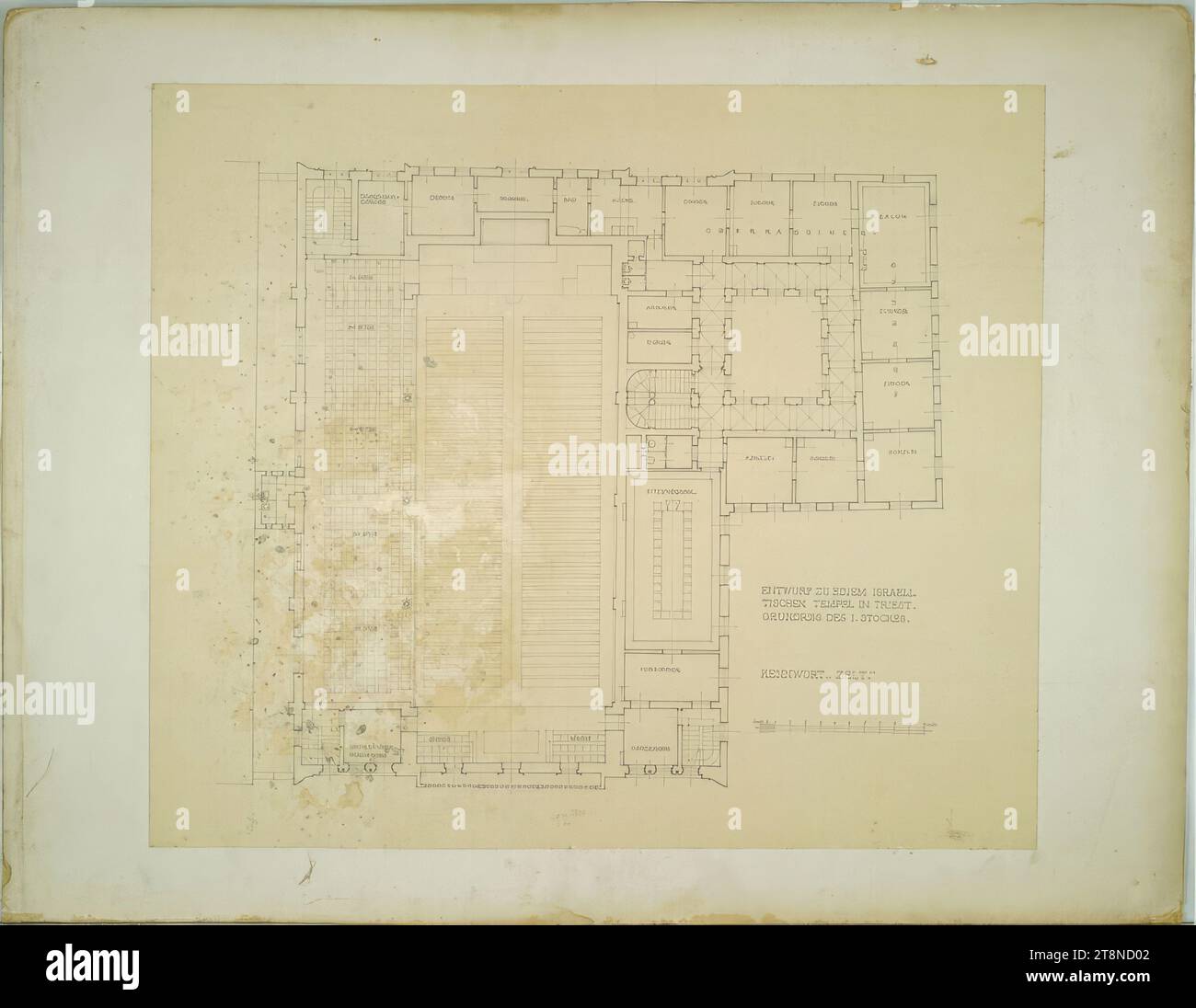 Trieste, synagogue (competition design), 1st floor, floor plan, Alfred ...