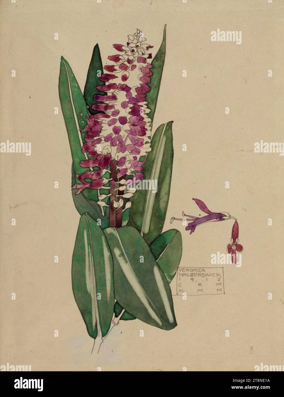 Veronica - Walberswick - Charles & Margaret Mackintosh - 1915 Stock ...