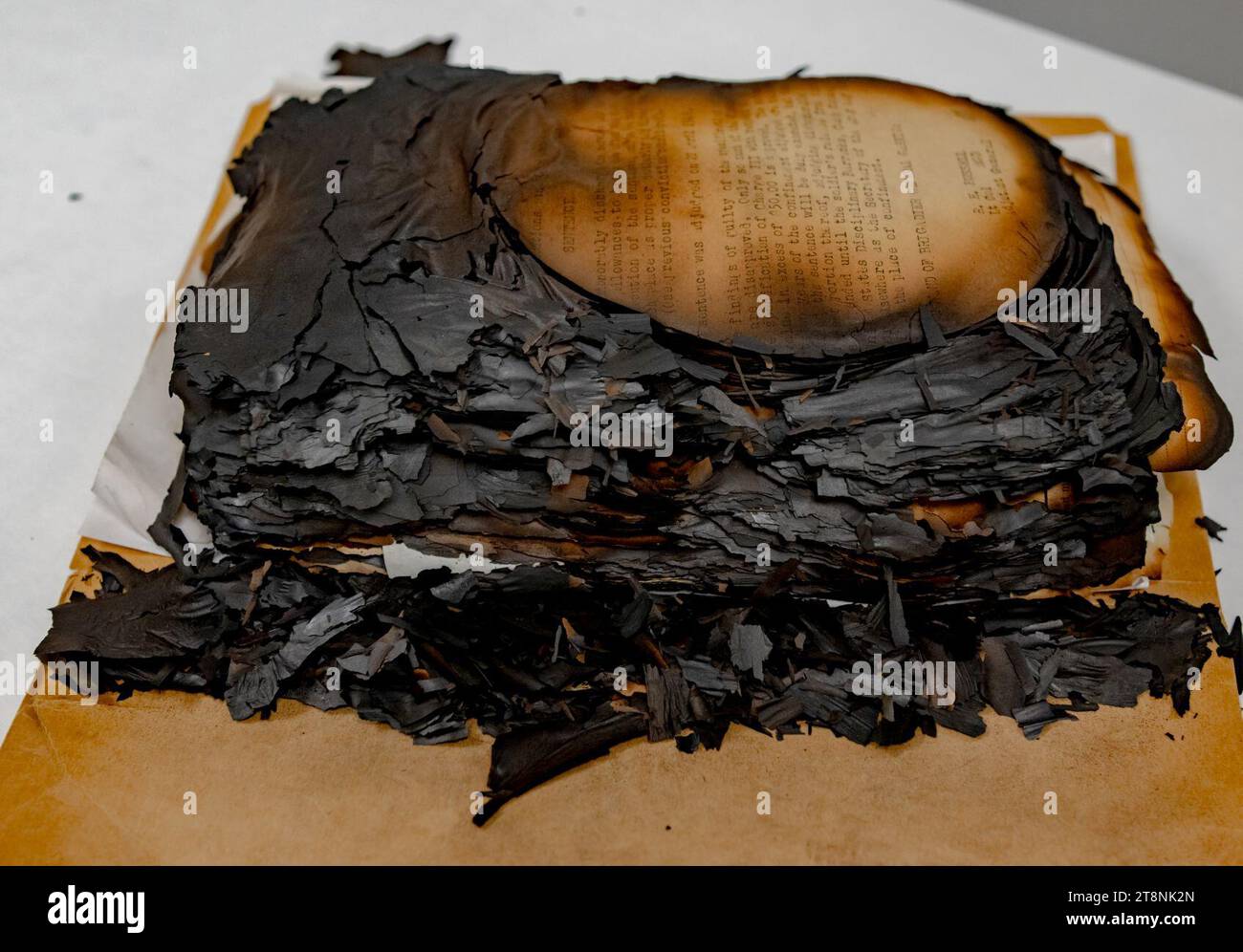 Very fragile record (3 Stock Photo - Alamy