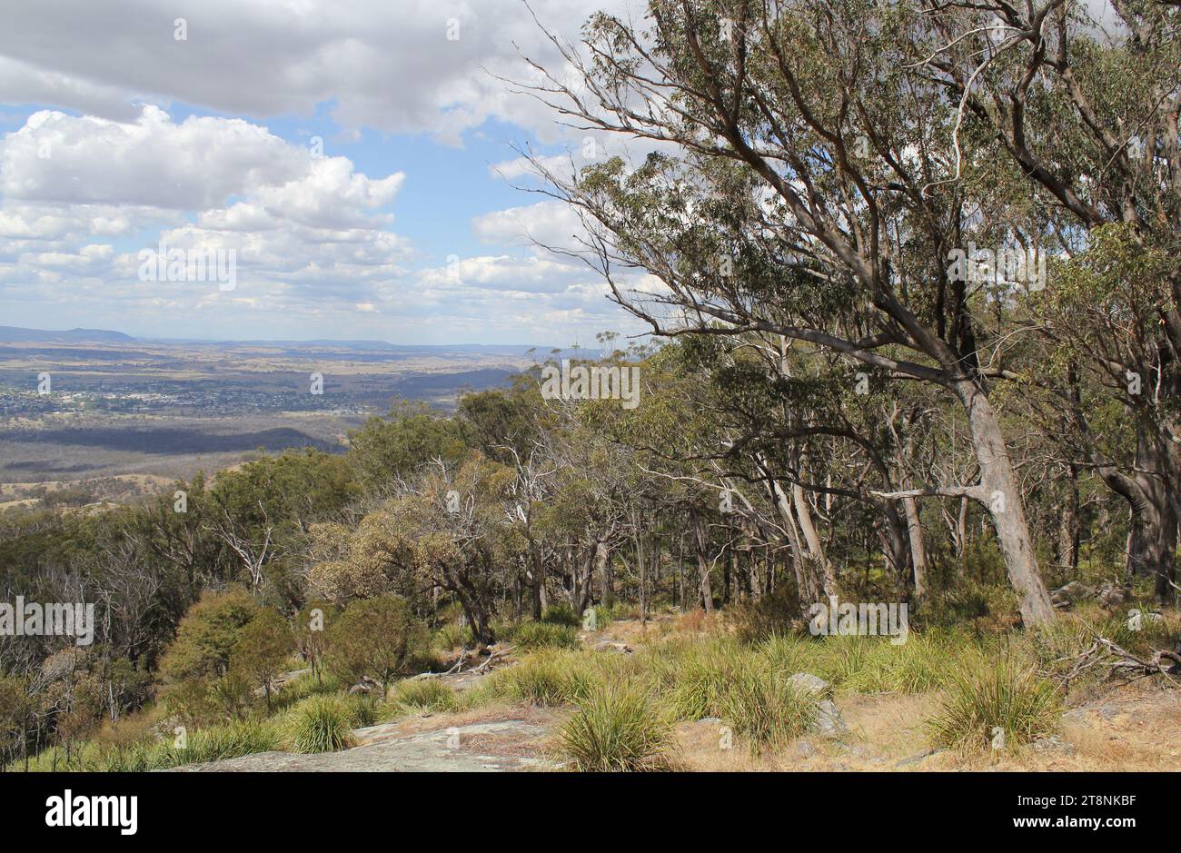 Australian bushland hi-res stock photography and images - Alamy