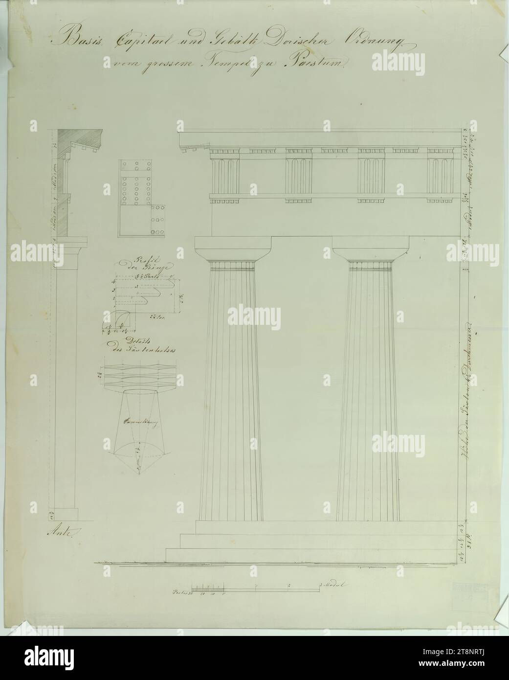 Doric Order, Temple of Paestum, ground plan, elevation and section ...