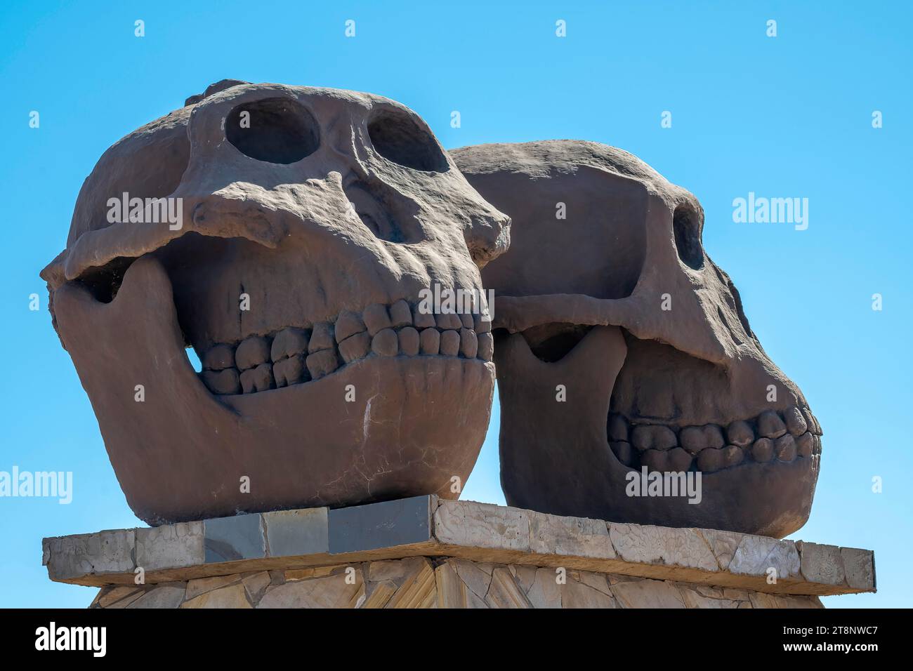 Olduvai Gorge, Cradle of Humankind, Paranthropus, Zinjanthropus, Hornoi ...