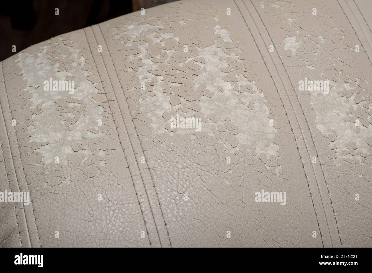 Old damaged sofa with torn upholstery hi-res stock photography and ...