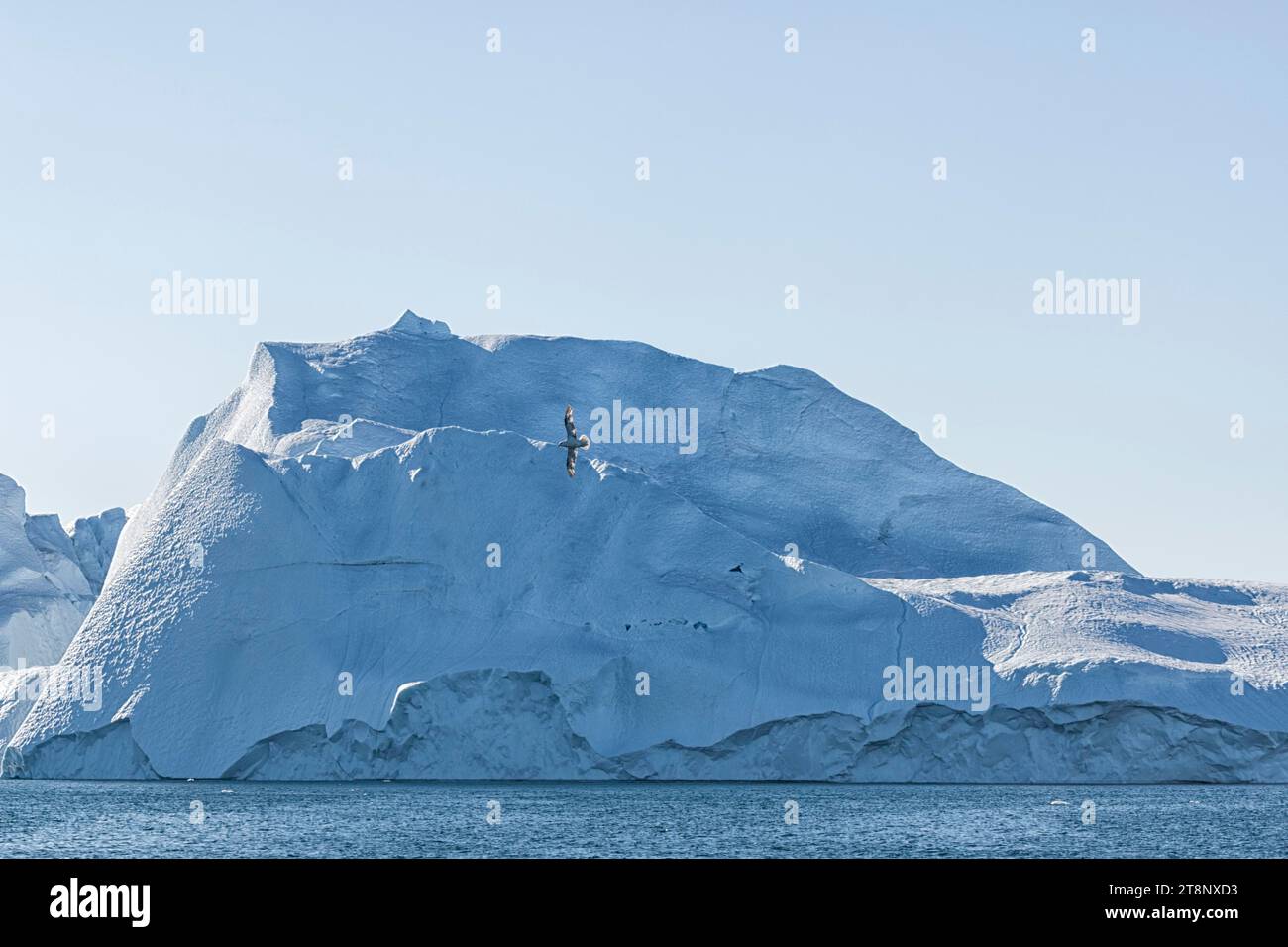 Huge iceberg in the UNESCO World Heritage Ilulissat Icefjord seen from ...