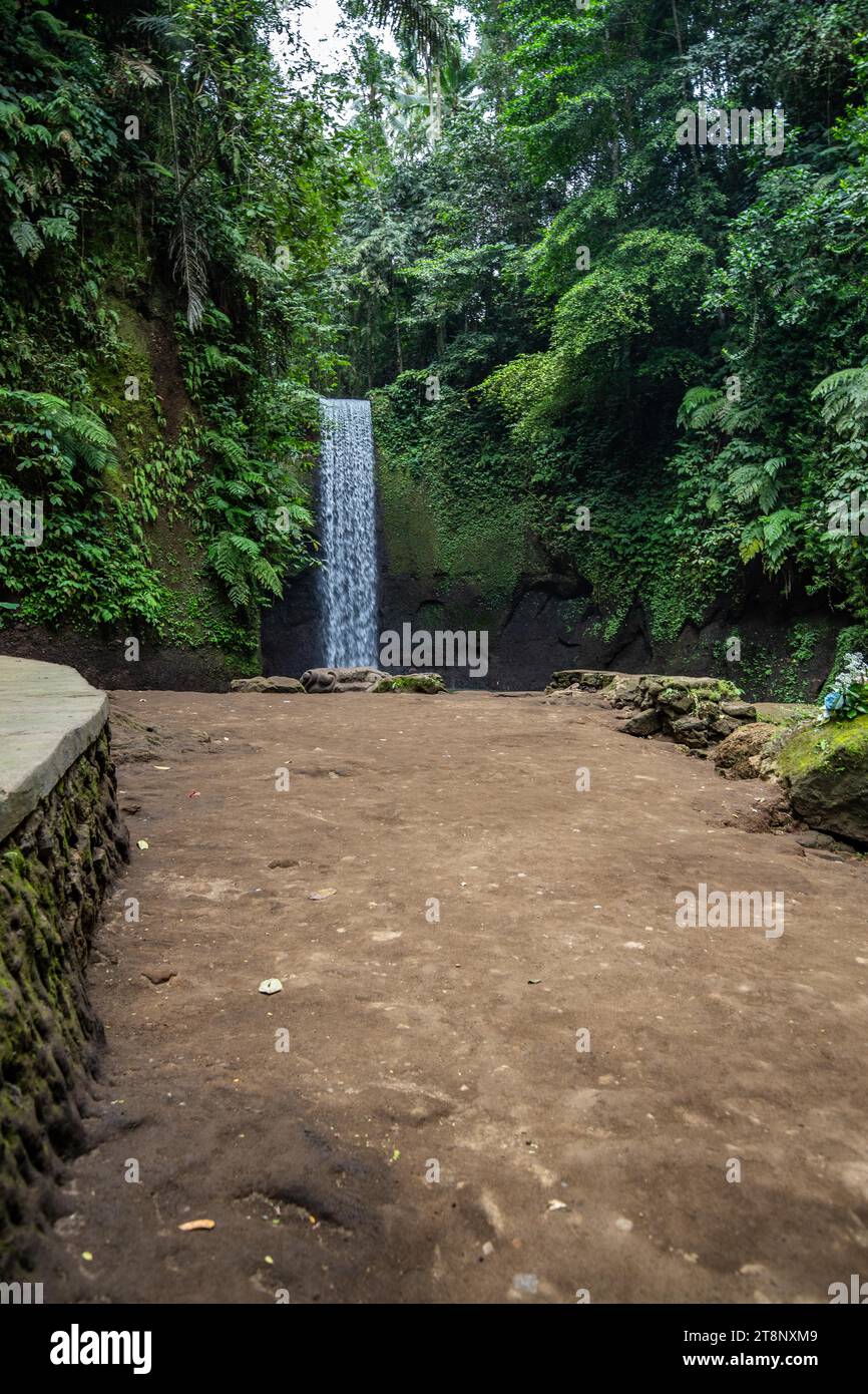 Tibumana waterfall, a small, wide waterfall in a green gorge. The river ...