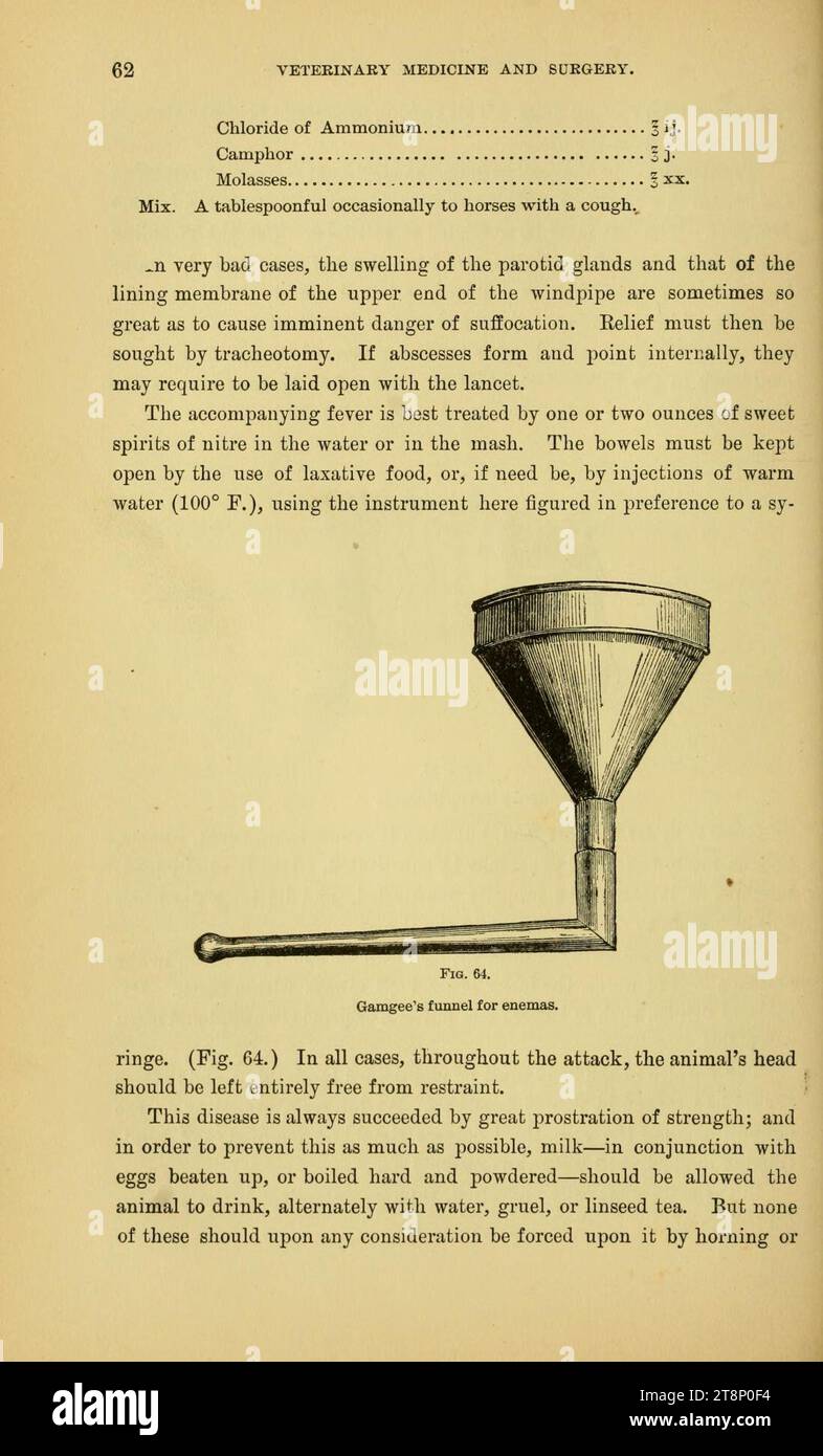 Veterinary medicine and surgery in diseases and injuries of the horse ...
