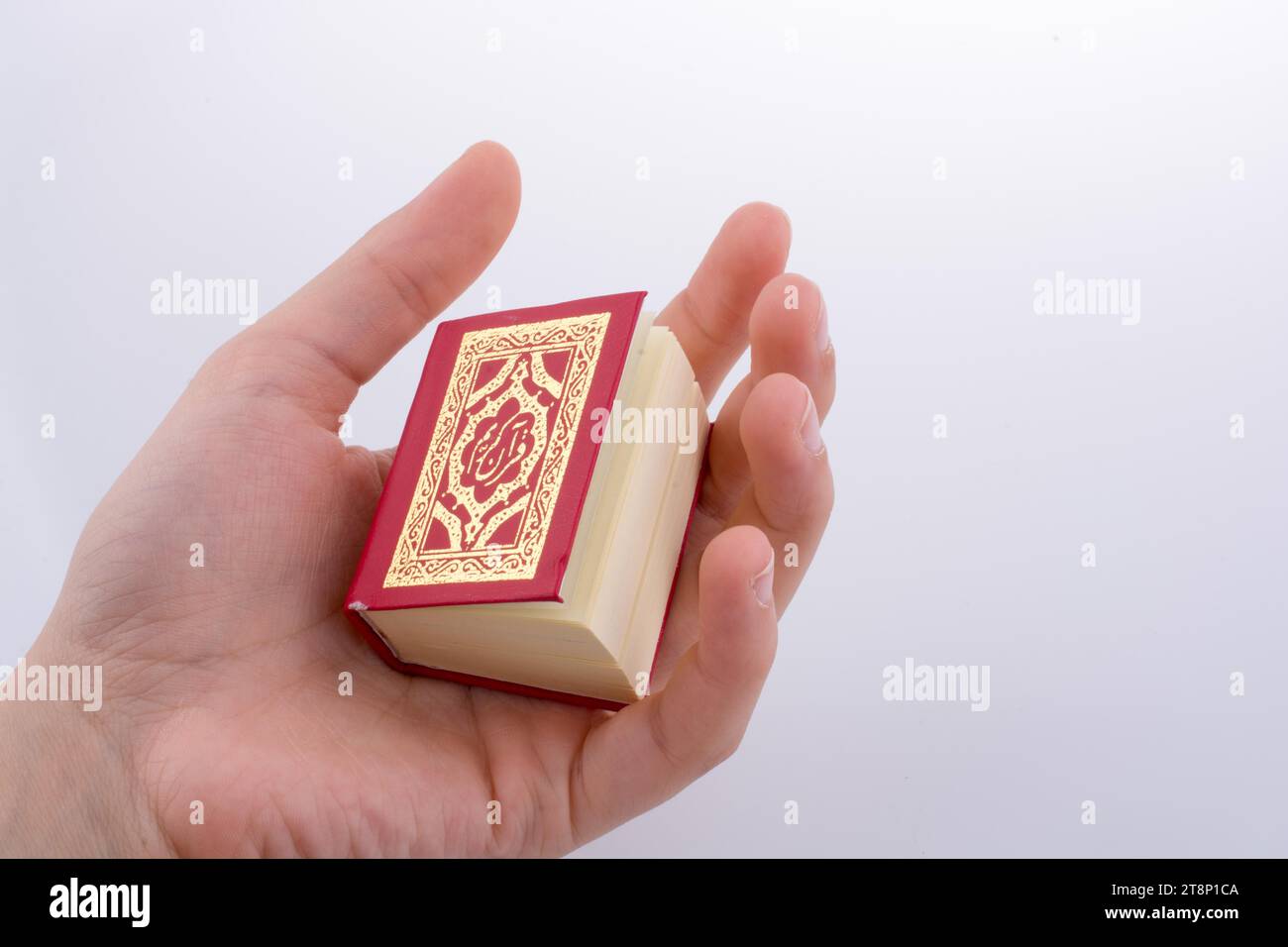 Hand holding The Holy Quran on a white background Stock Photo - Alamy
