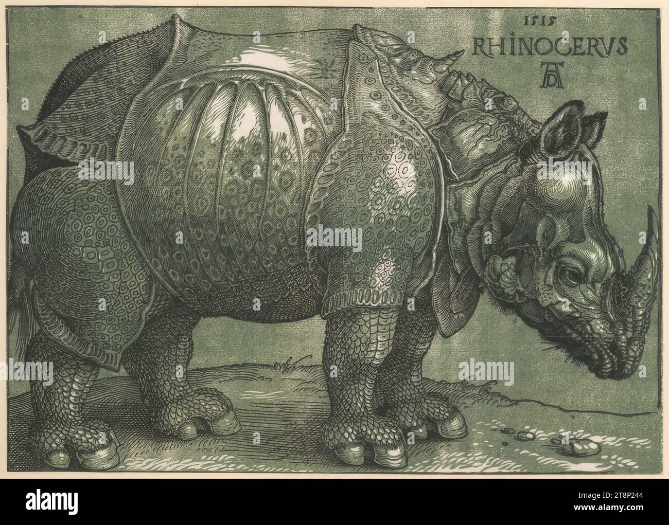 Rhinocerus (Das Rhinozeros), Albrecht Dürer (Nuremberg 1471 - 1528 ...