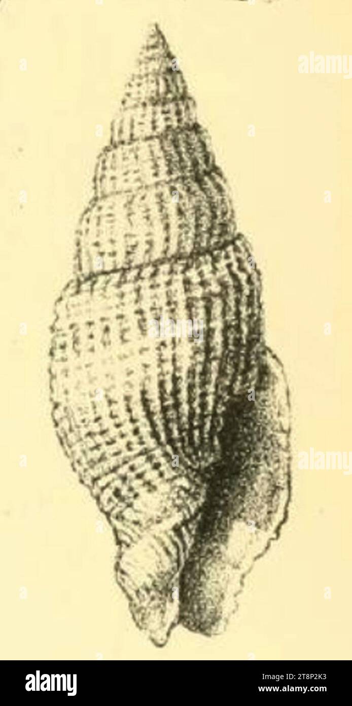 Sculptile hi-res stock photography and images - Alamy