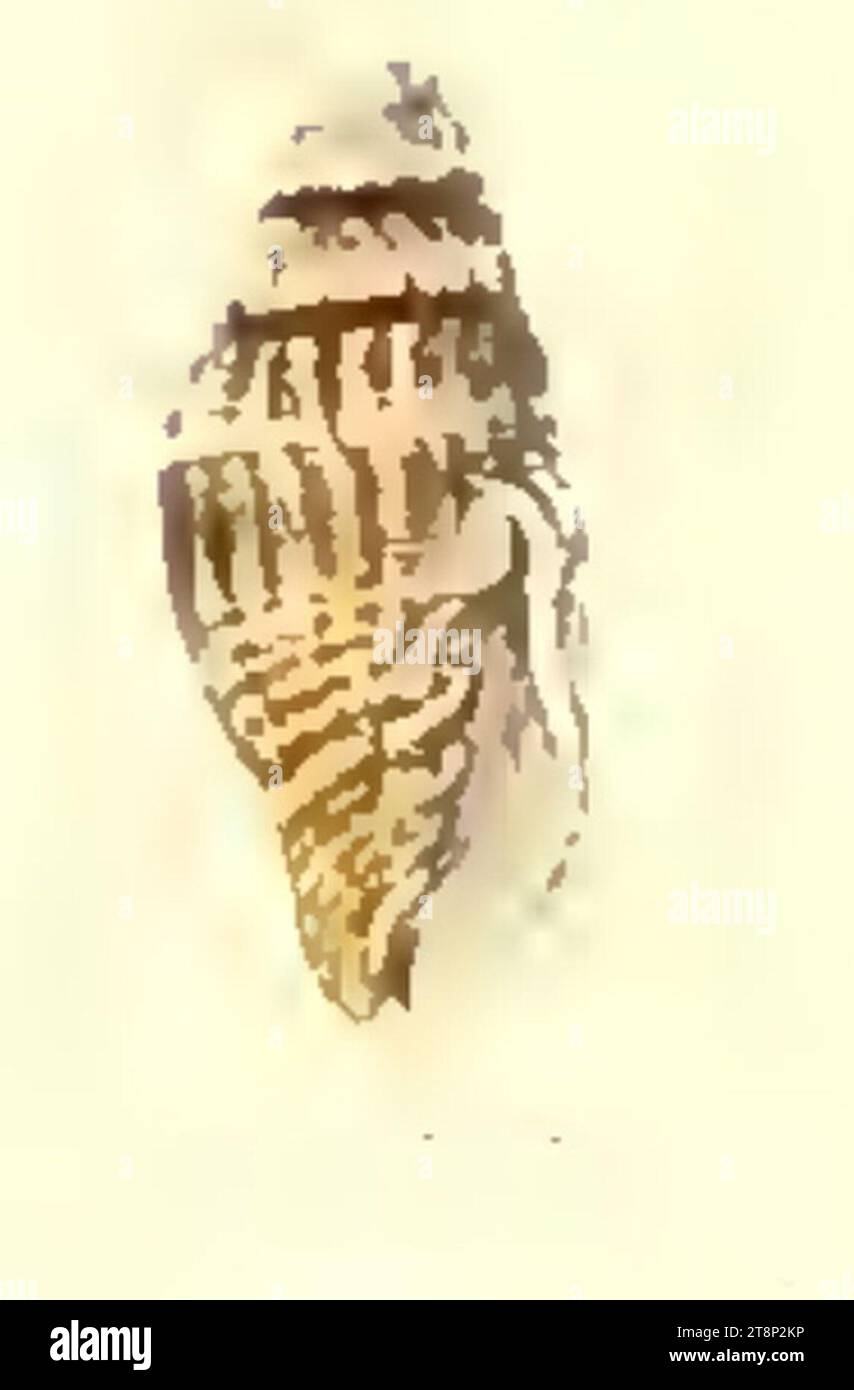 Cithara hi-res stock photography and images - Alamy