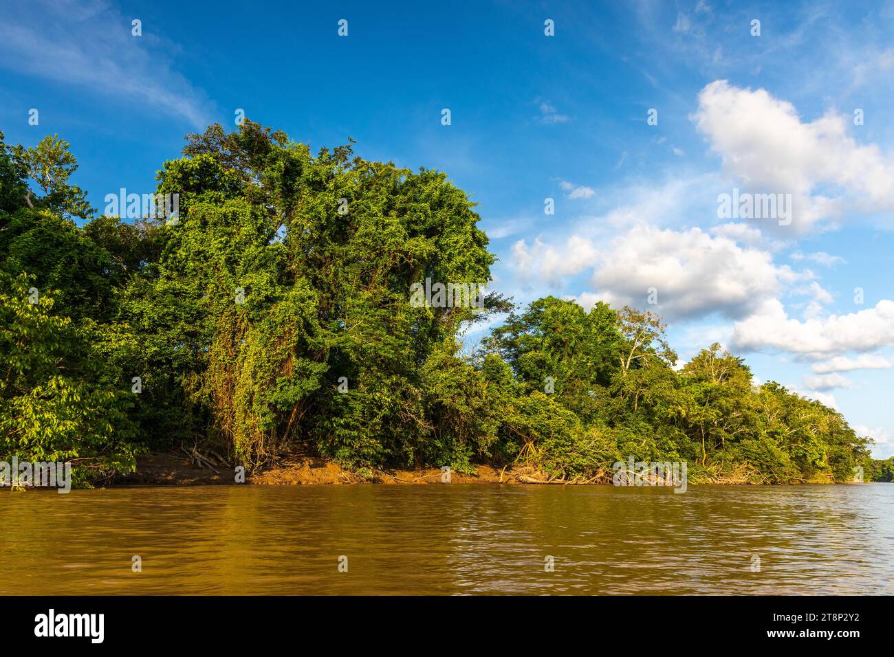 Rio Guayabero, tropical jungle, river, La Macarena, Colombia Stock ...