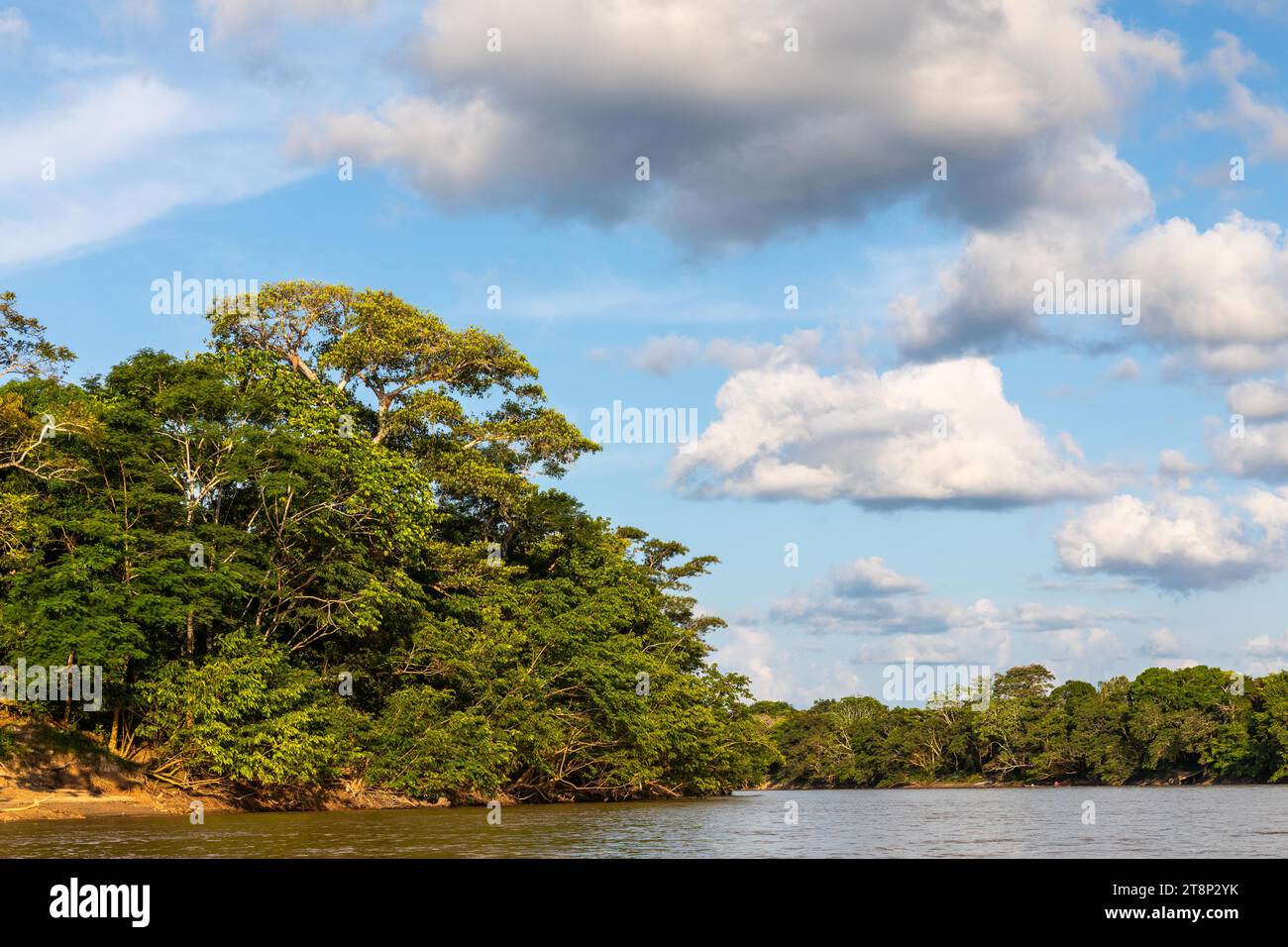 Rio Guayabero, tropical jungle, river, La Macarena, Colombia Stock ...