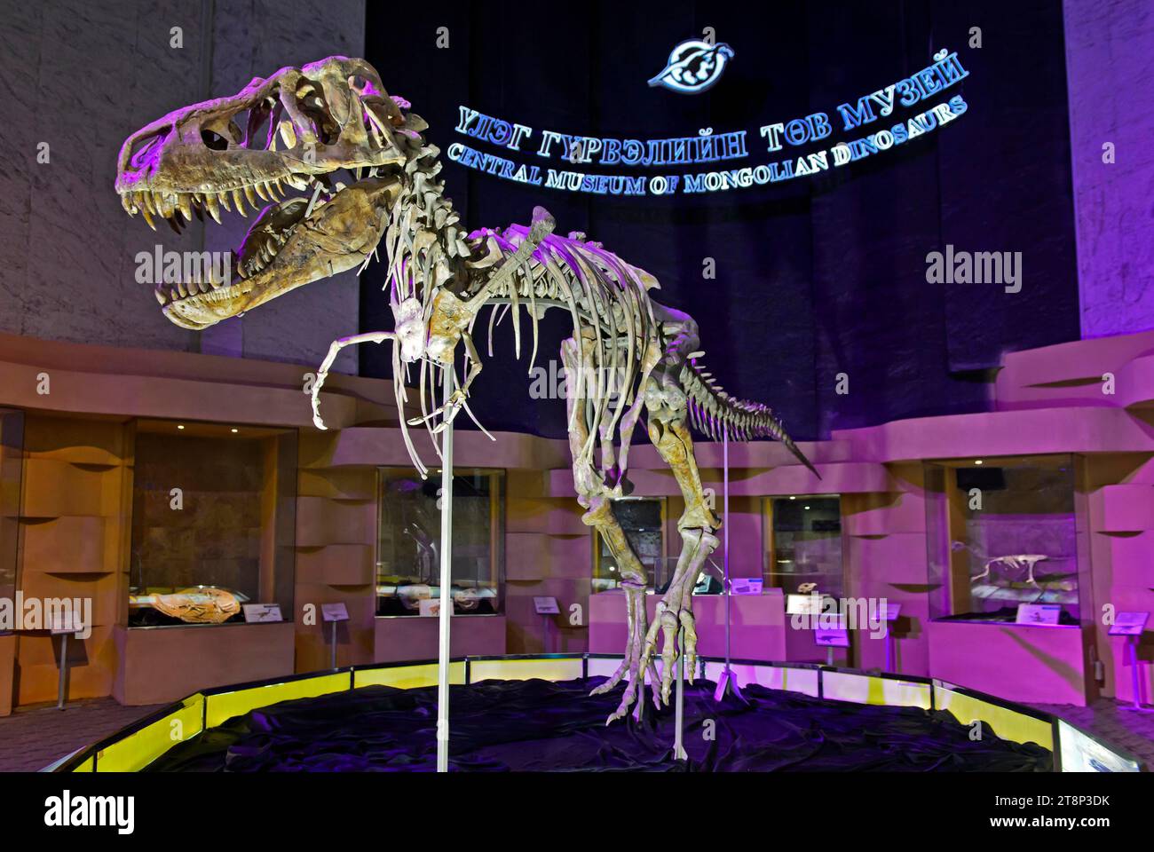 Mongolian central museum of dinosaurs hi-res stock photography and ...