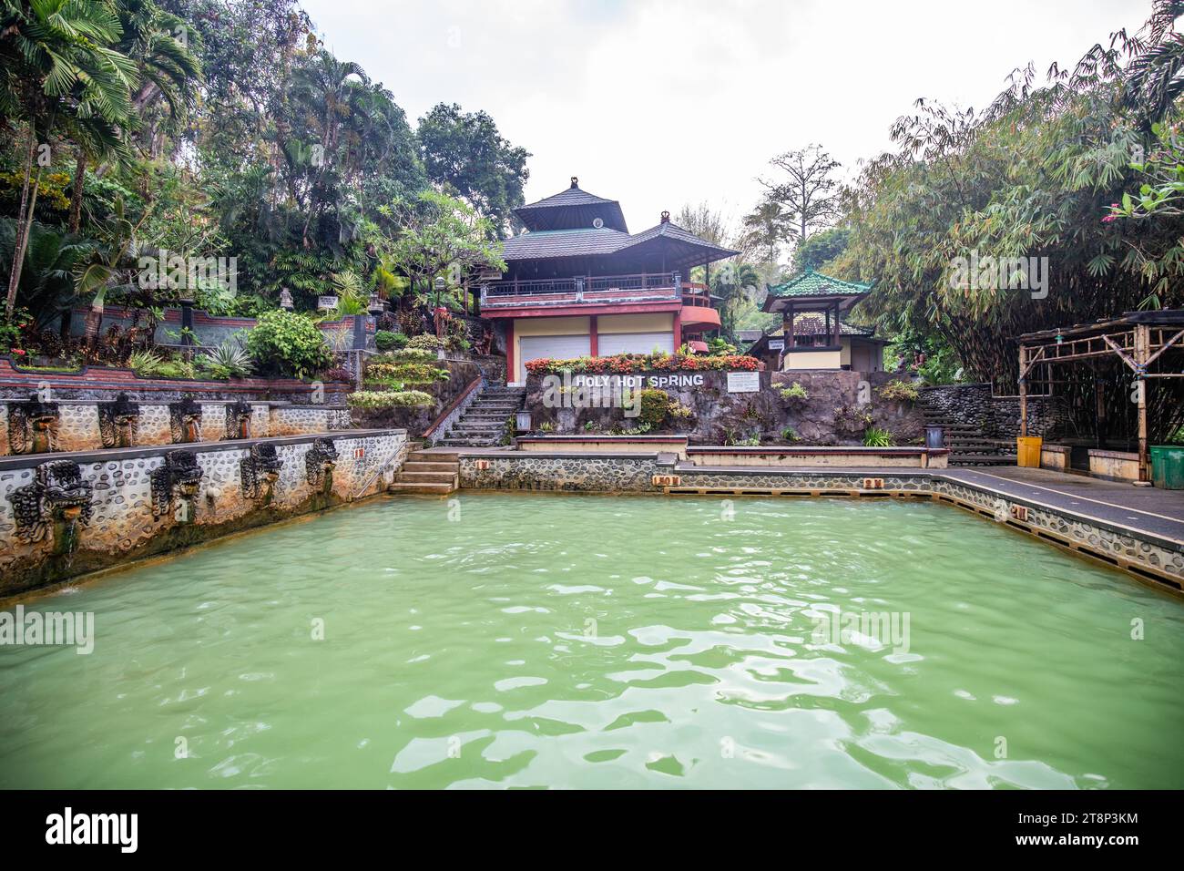 Hot springs, thermal bath in the tropical jungle. Ritual sulphur pool ...