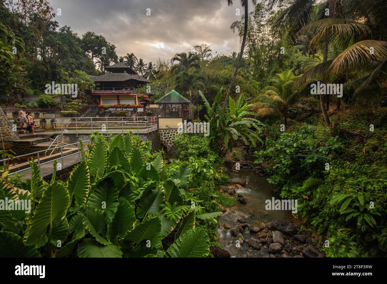 Hot springs, thermal bath in the tropical jungle. Ritual sulphur pool ...