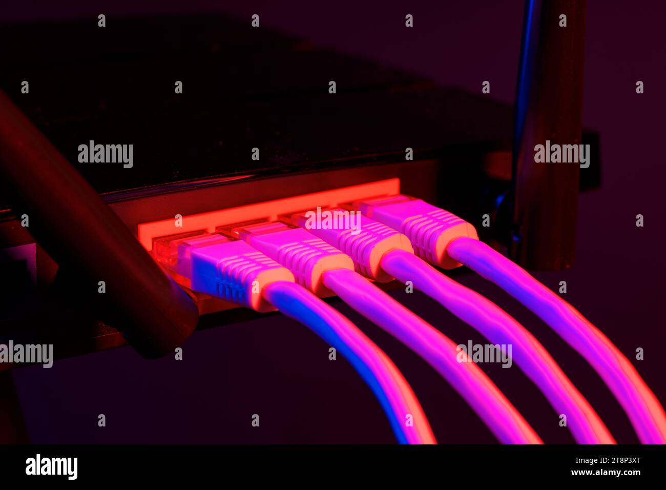 Cables plugged in a Wi-Fi router on dark background Stock Photo - Alamy