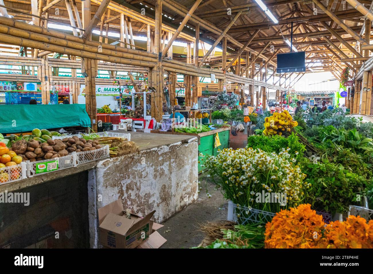 Vegetables at a market stall, market hall, Cali, Valle de Cauca ...