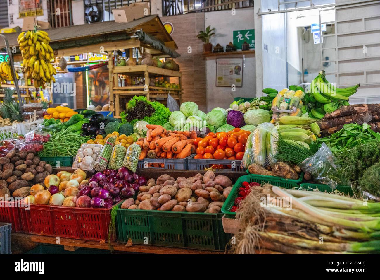 Vegetables and fruit at a market stall, market hall, Cali, Valle de ...