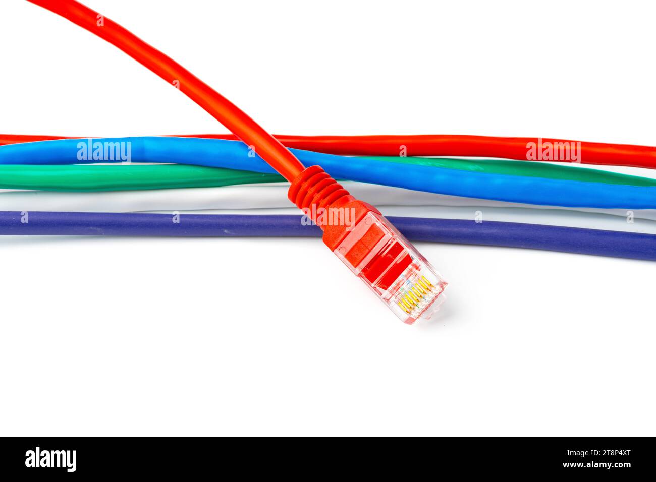 Colorful network cables switch on white background Stock Photo - Alamy