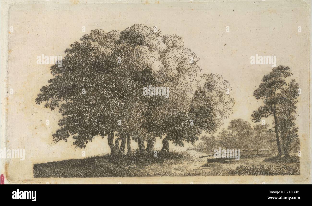Group of six trees with a bridge, Caspar David Friedrich (Greifswald ...