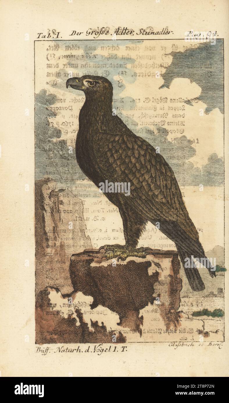 Der grosse adler hi-res stock photography and images - Alamy