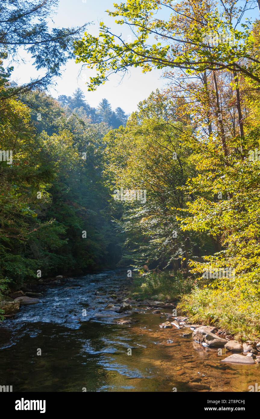 Mountain stream, Great Smoky Mountains National Park, North Carolina ...