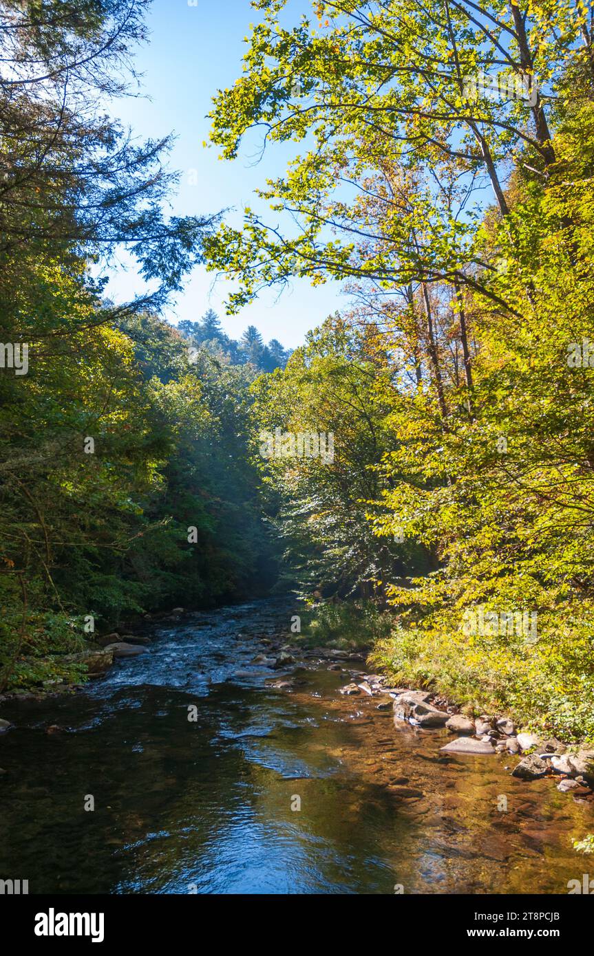 Mountain stream, Great Smoky Mountains National Park, North Carolina ...