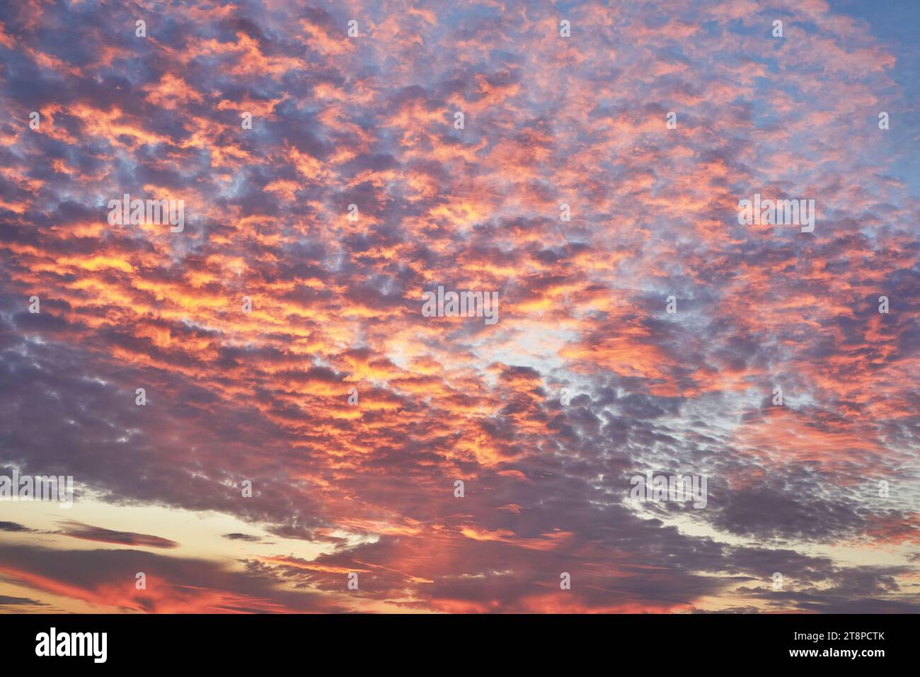 Time lapse pink sunset clouds hi-res stock photography and images - Alamy