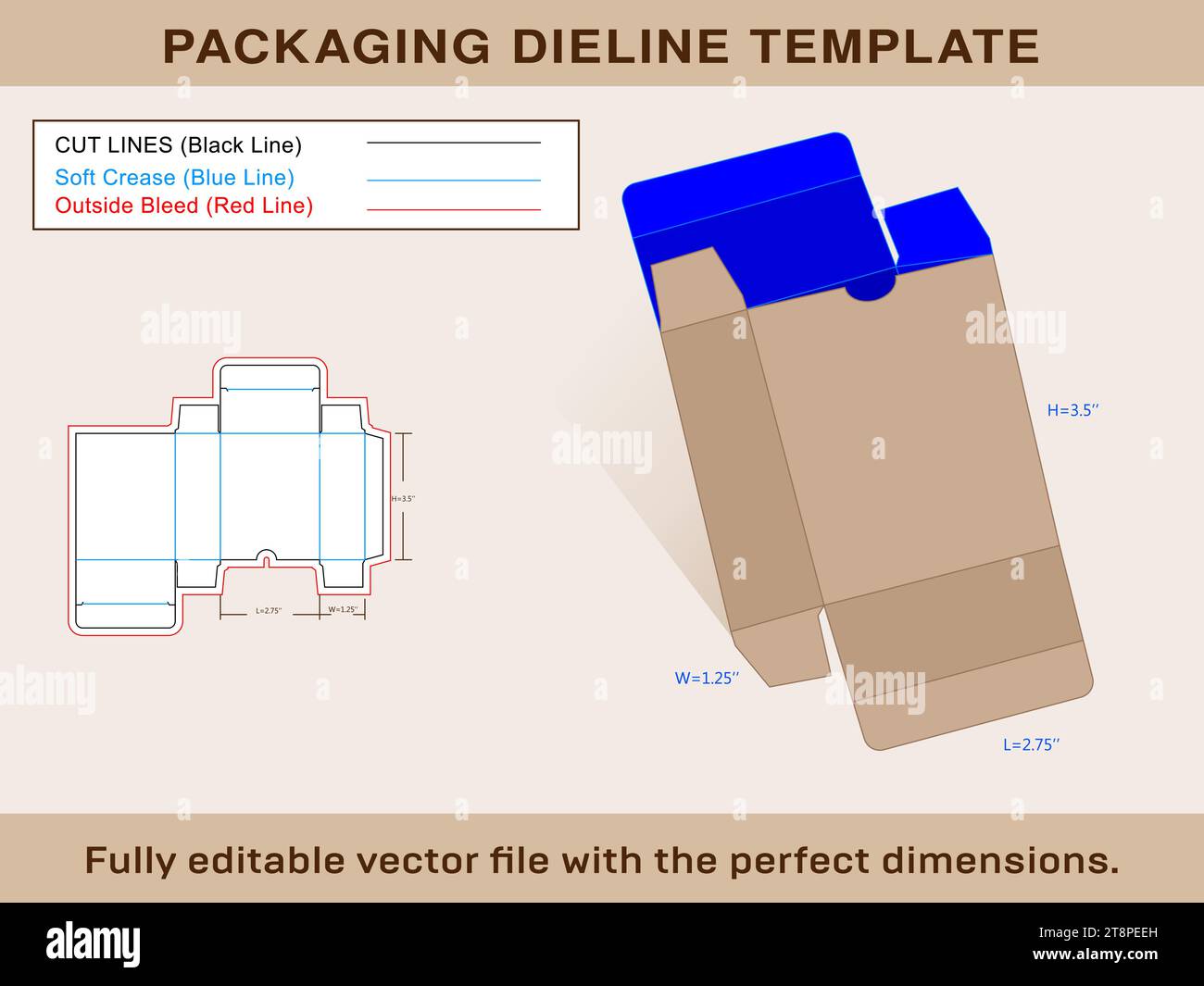 Shop Box Die line Template, Editable Vector File Stock Vector Image ...