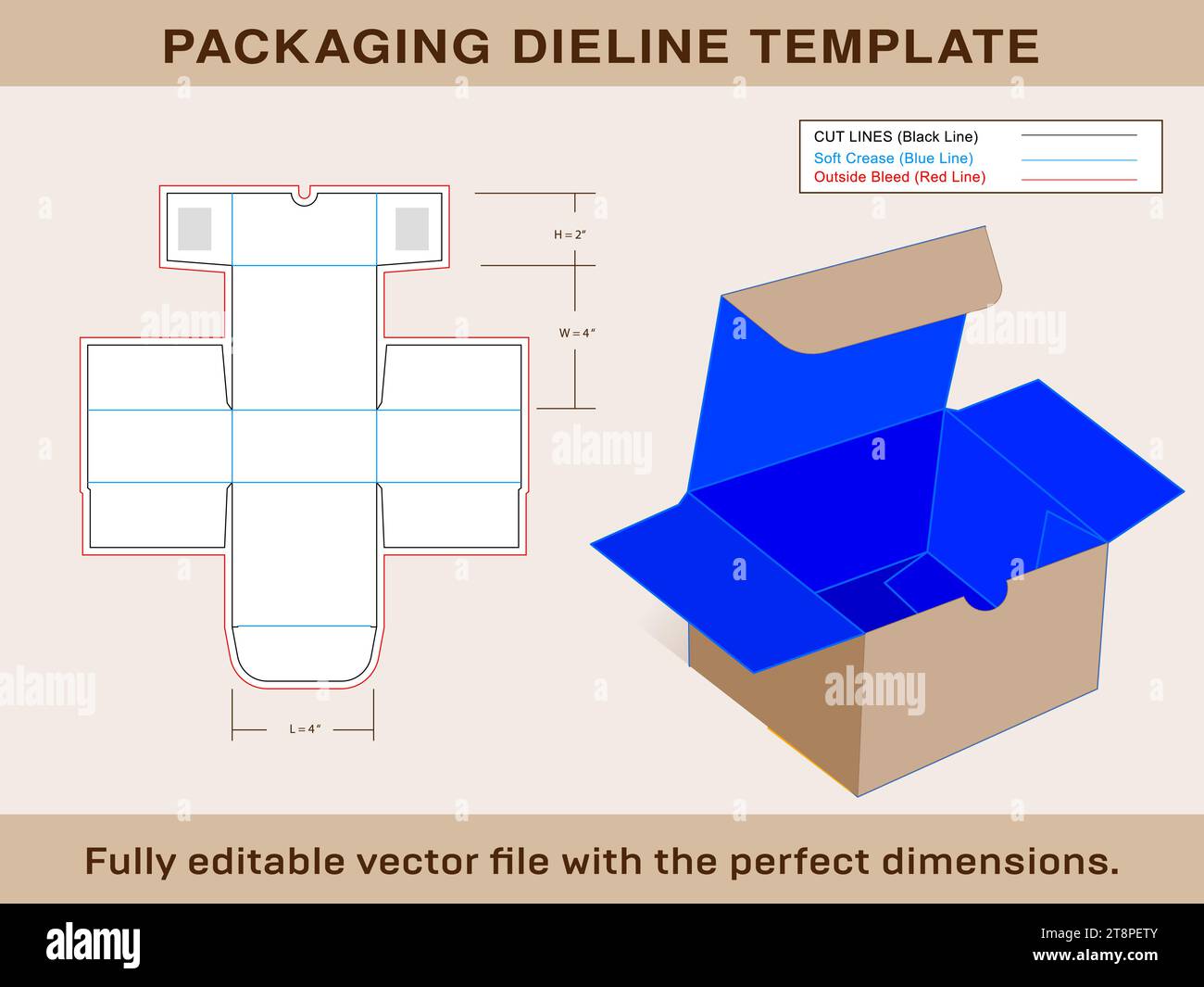 Instructor tuck end Box Die line Template Editable Vector File Stock ...