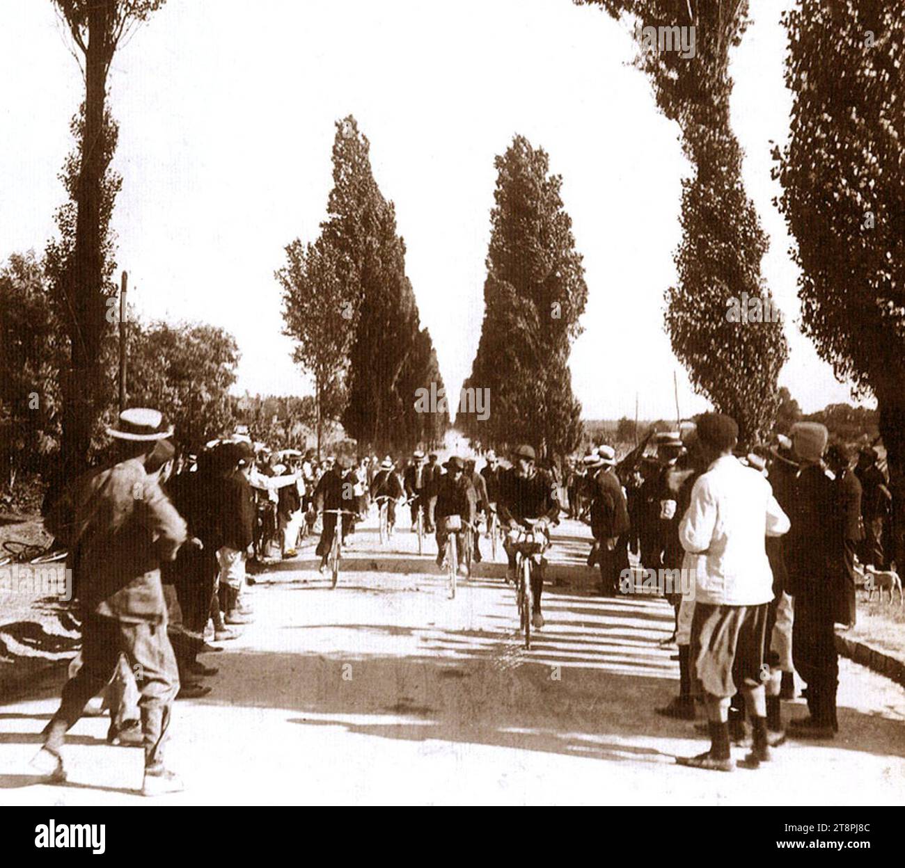 Victoire de Charles Laeser lors de la 4e étape du Tour 1903 à Bordeaux ...