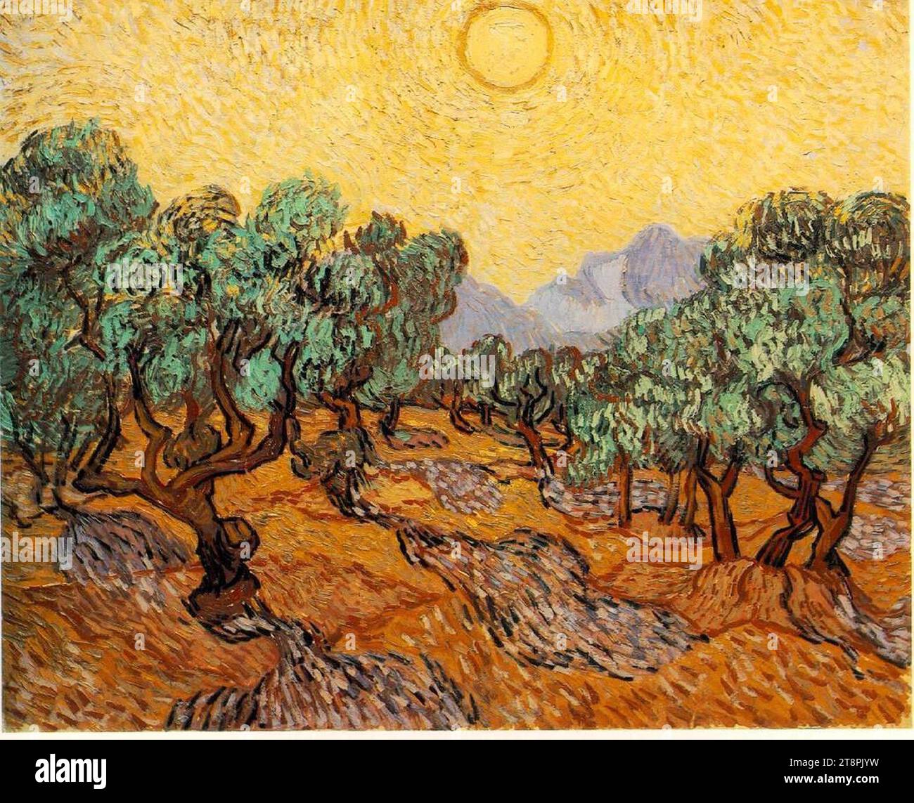 Vincent van Gogh - Olive Trees with Yellow Sky and Sun Stock Photo - Alamy