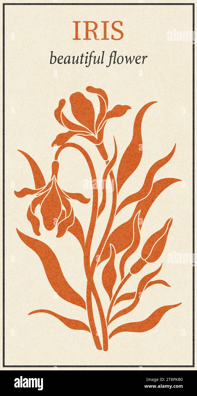 Floral iris design in art nouveau 1920-1930. Hand drawn iris style with weaves of lines, leaves ...