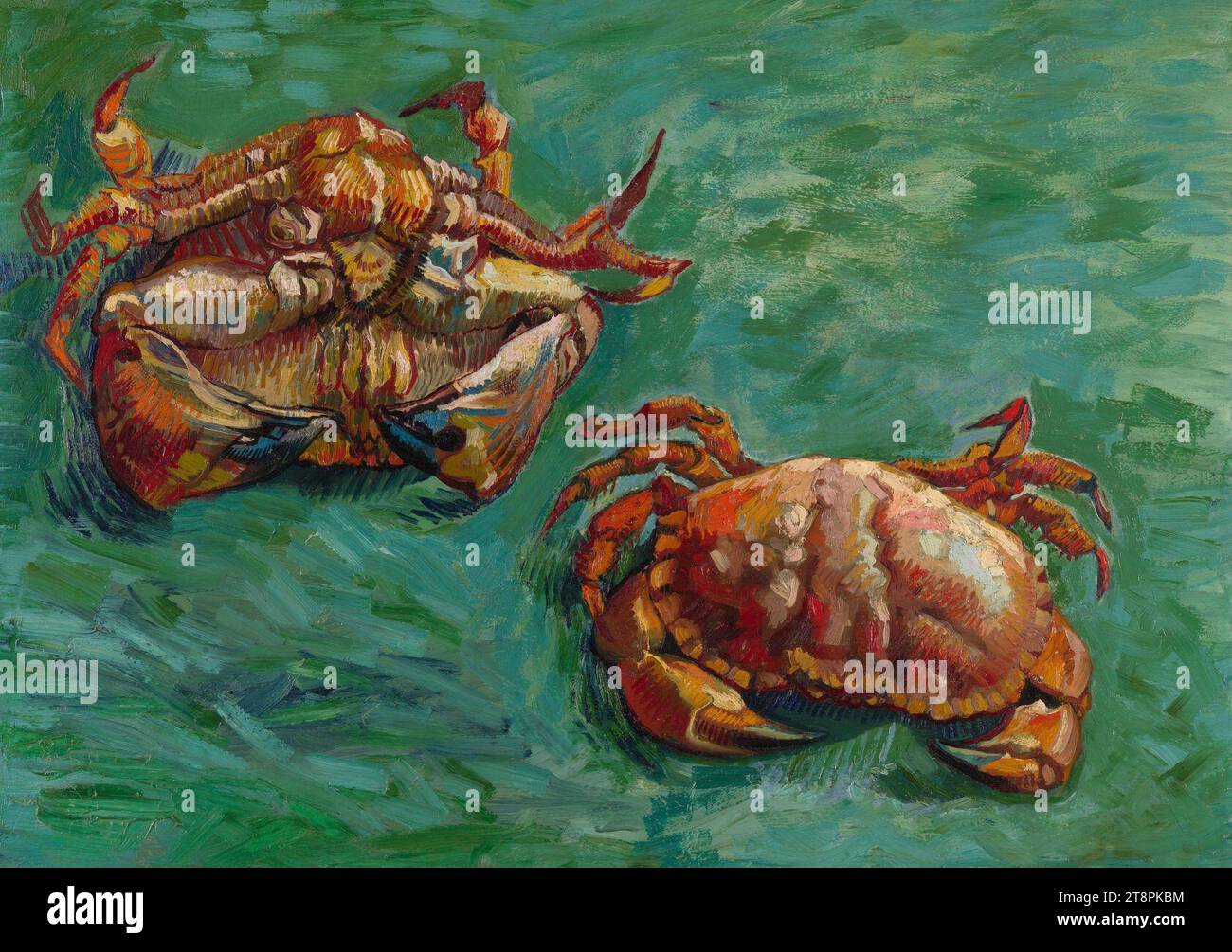 Vincent van Gogh - Two Crabs (1889 Stock Photo - Alamy