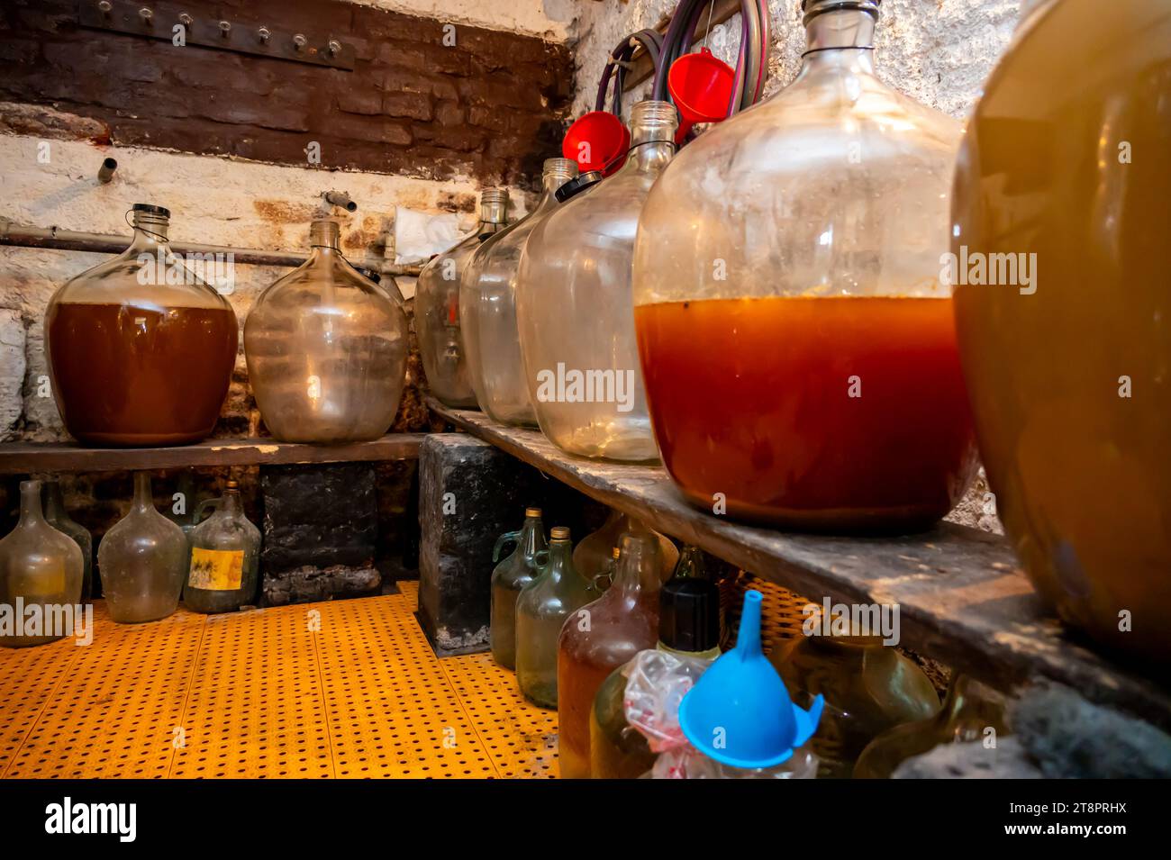 View of old fashioned wine cellar with glass storage for wine during ...