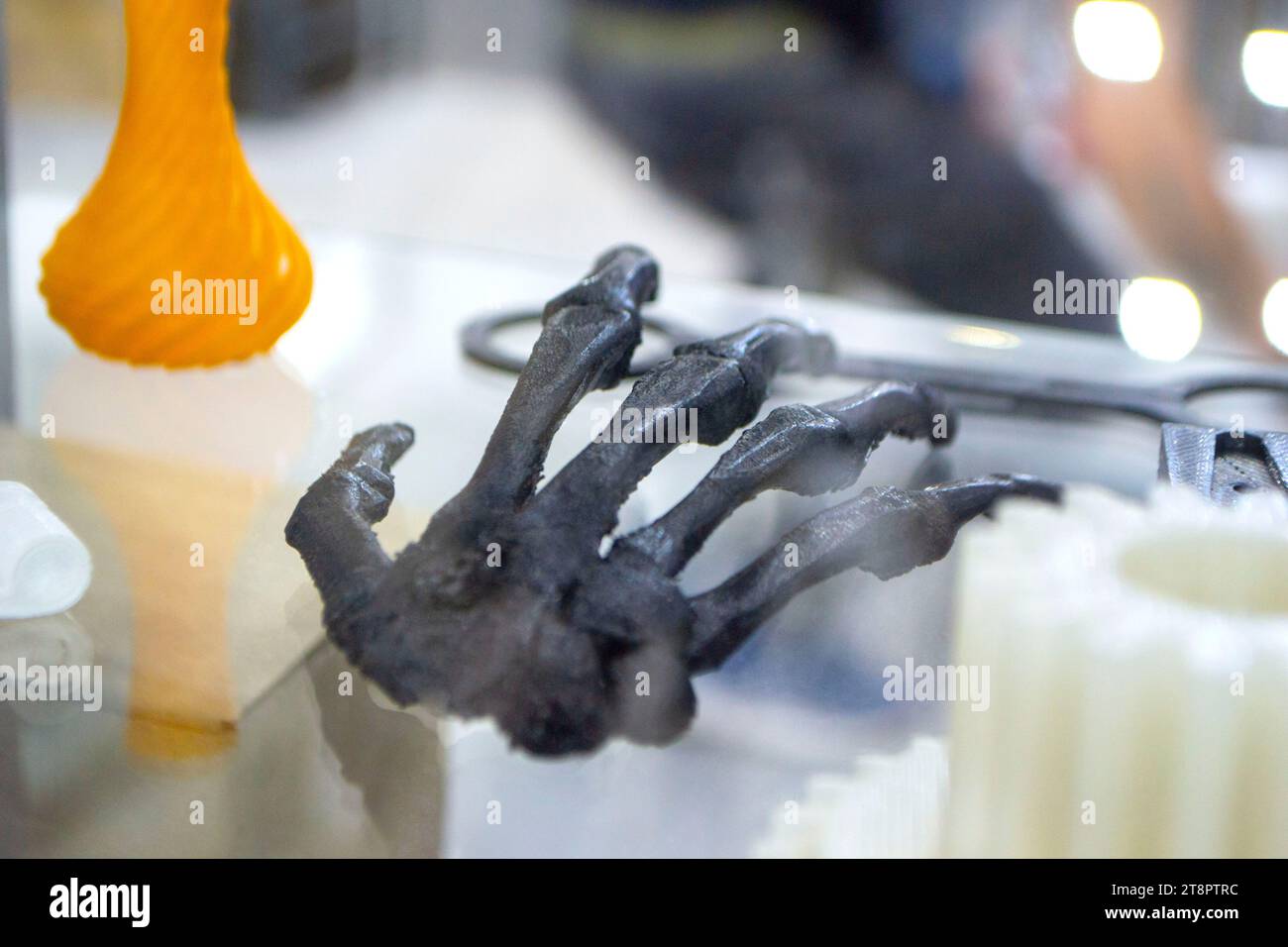 Human skeleton from anatomy lab hi-res stock photography and images - Alamy