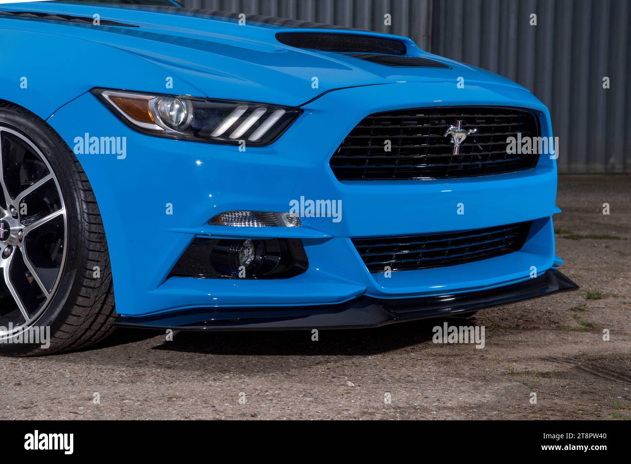 Ford Mustang S550 Mach 1 5.0 sports car Stock Photo - Alamy
