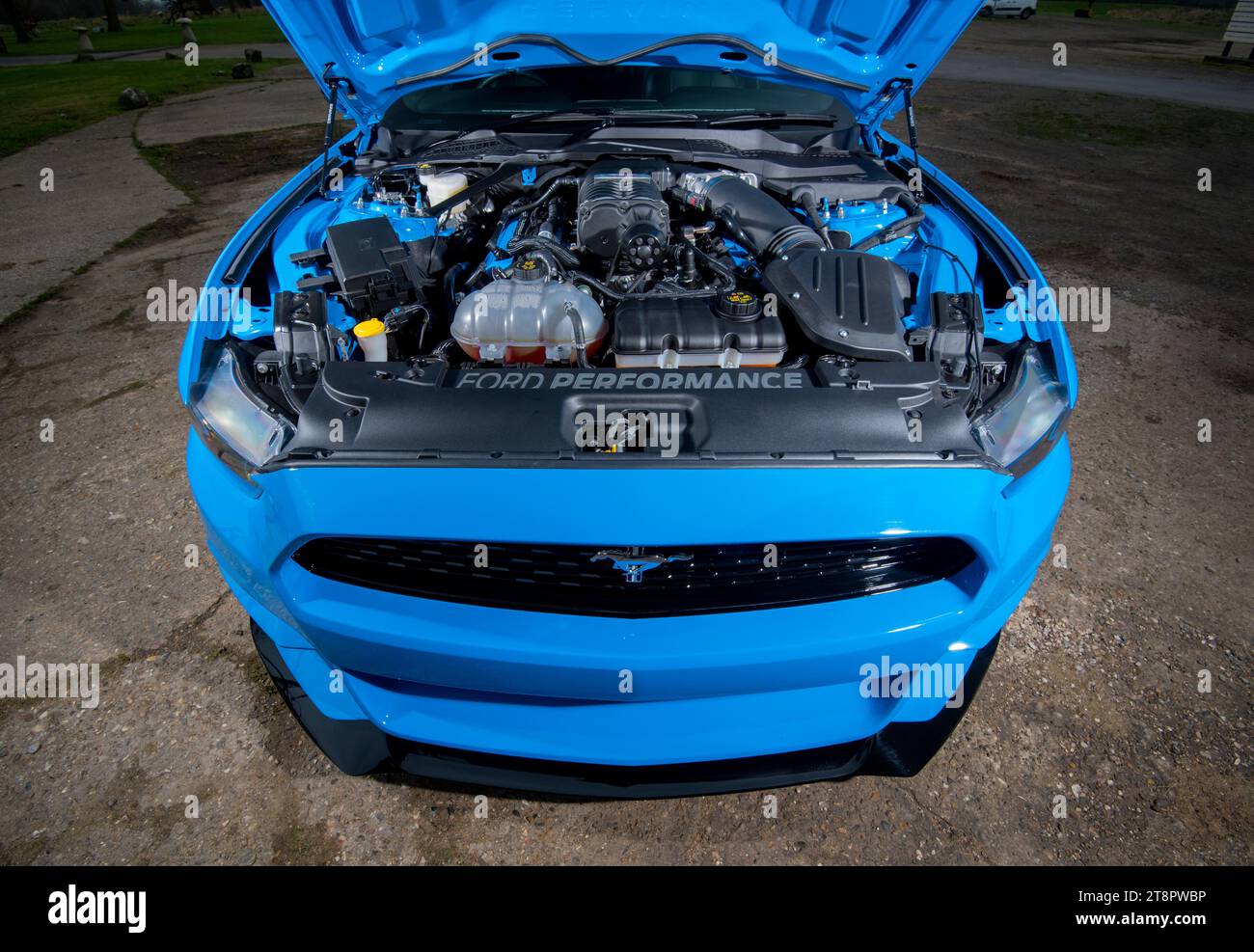 Ford Mustang S550 Mach 1 5.0 sports car Stock Photo - Alamy